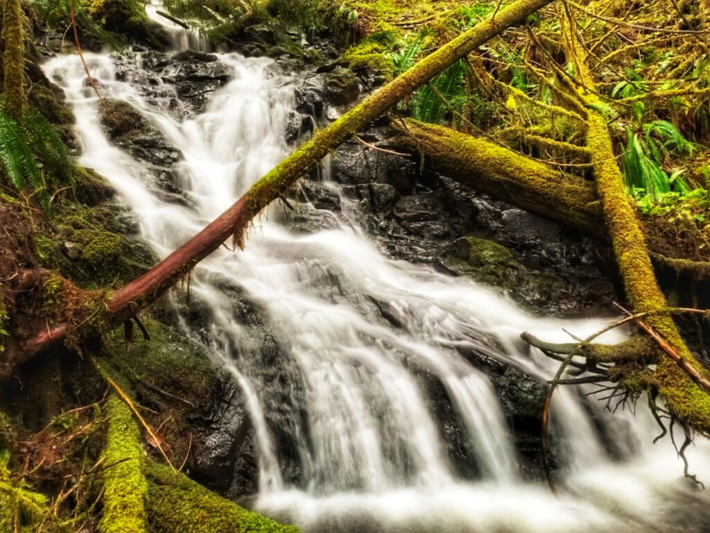 Impressive 5-Mile Marker Waterfall Trail - Hike Haida Gwaii