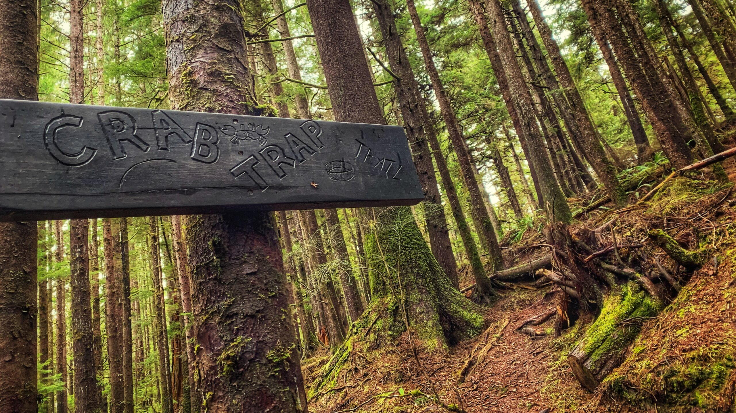 Crab Trap Trail – Biking & Hiking Paradise - Hike Haida Gwaii